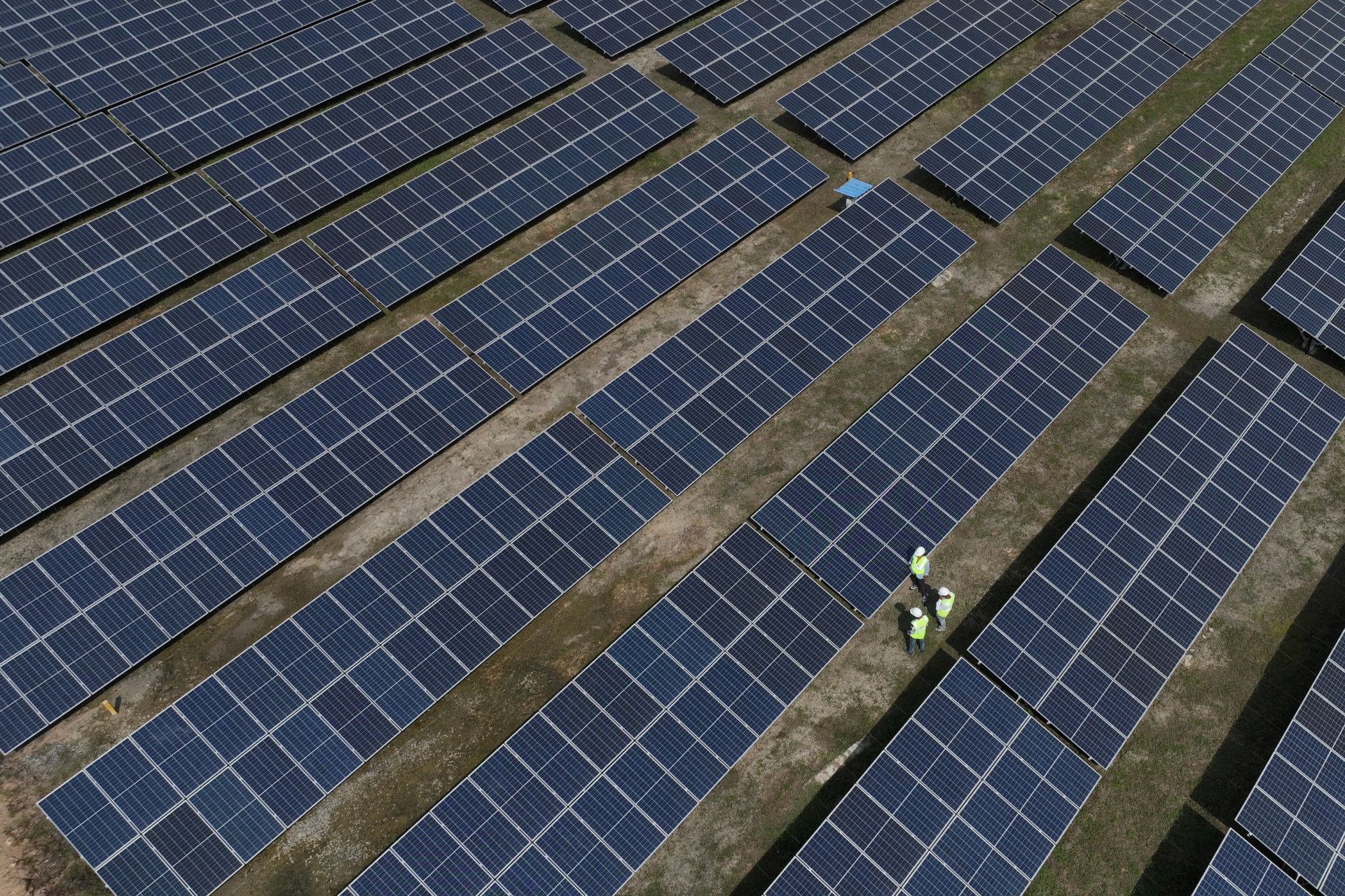 Yakult Danone India makes sustainability the focus by going solar with ...